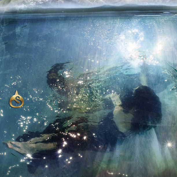 The Mystic Cowgirl - Transformation Oracle The Mystic Cowgirl - Transformation Oracle